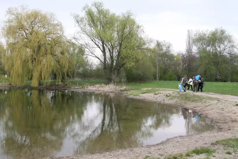 Přírodní koupaliště Poděbrady | Olomouc Tourism