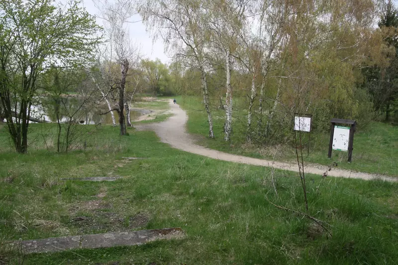 Přírodní koupaliště Poděbrady | Olomouc Tourism