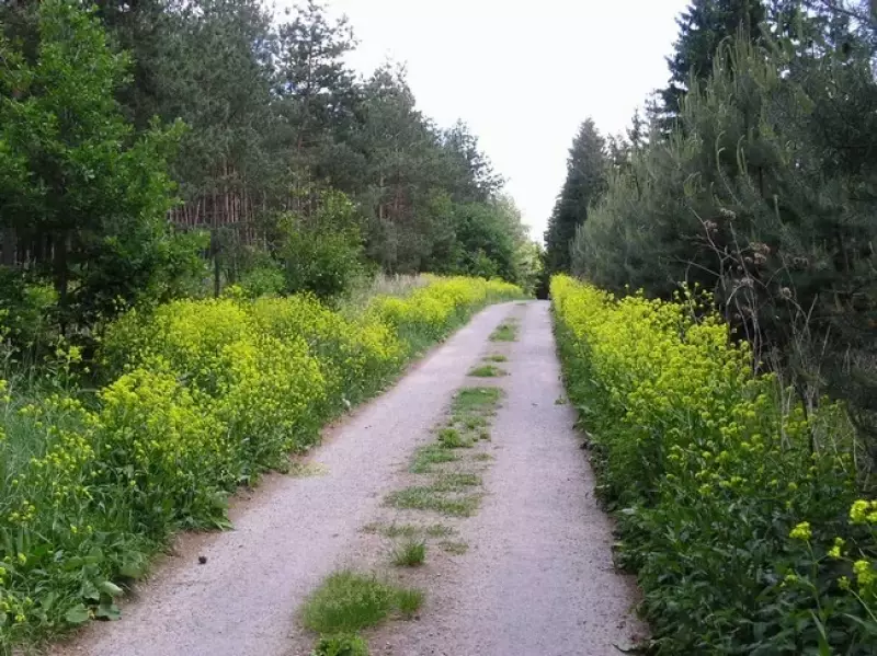 Velký Kosíř | Olomouc Tourism